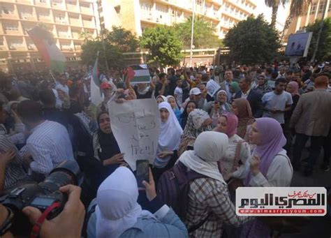 خبير علاقات دولية قمة القاهرة للسلام قد تكون أهم فرصة لحل القضية