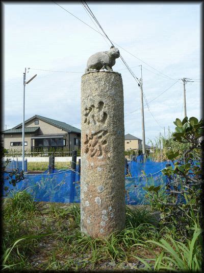 猫塚御前崎市