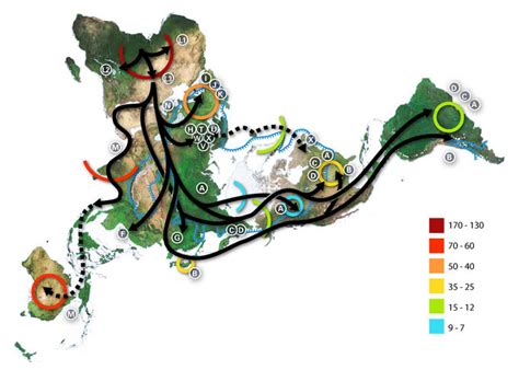 Mitochondrial Dna Haplogroup Isogg Wiki