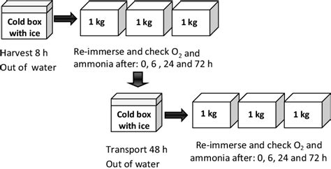 Diagram Summarizing The Experimental Design Download Scientific Diagram
