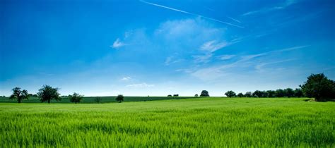 Ccs Projects Around The World Ldi Training