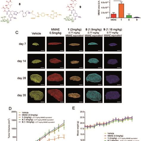 The Principle Of Tumour Targeting With The β Glucuronidase Responsive Download Scientific