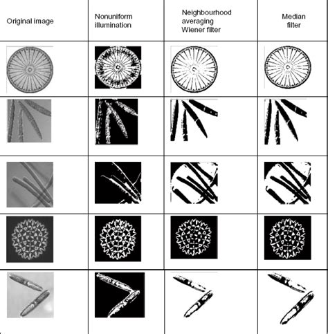 Pre Processed Images By Various Filters Download Scientific Diagram