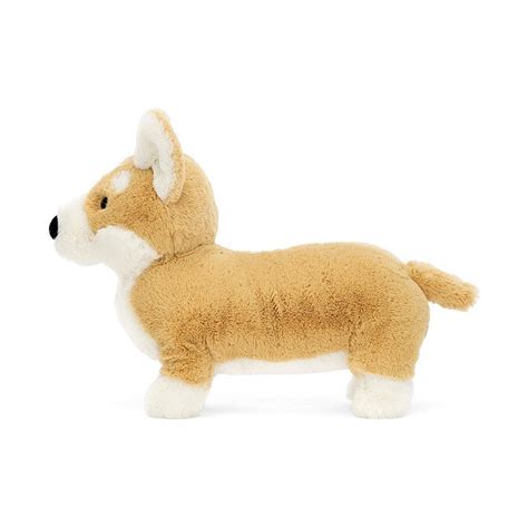 Chien Betty Corgi En Pagaille