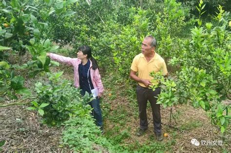 杨国荣：扎根基层，服务群众，不忘初心丨八桂巾帼风采（十四）澎湃号·政务澎湃新闻 The Paper