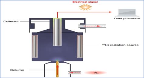 Gas Chromatography Detector Type Of Gc Detectors Pharmasciences Gas Chromatography Detector Type Of Gc Detectors Pharmasciences