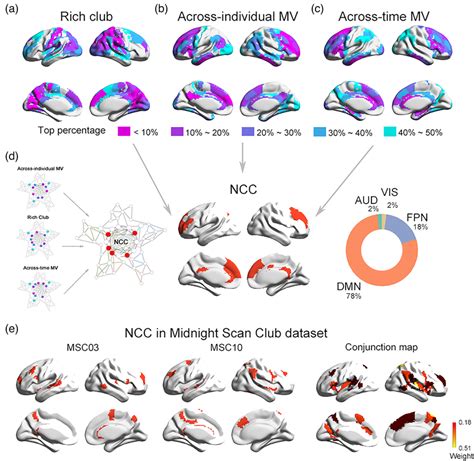 Neural Correlates Of Consciousness NCC Identification And Functional