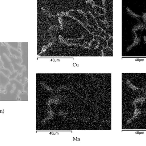 Sem Mapping For A Fe And Al M Femn Download Scientific Diagram