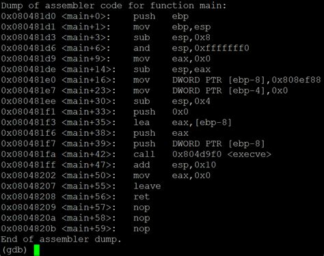 Hacker School Ftz Shellcode Records