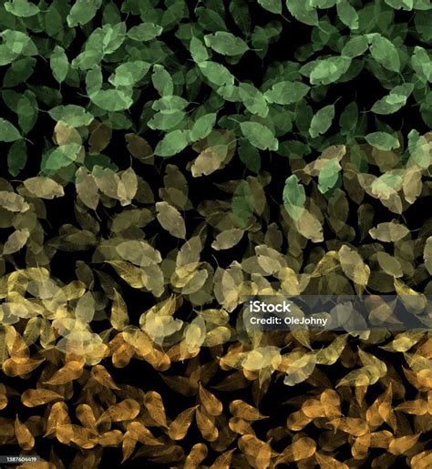 배경은 주황색으로 변하는 녹색 잎으로 만들어집니다 봄 잎은 단풍으로 바뀝니다 단풍은 엽서를 디자인합니다 벡터 장식 잎 프레임의 그림입니다 0명에 대한 스톡 사진 및 기타