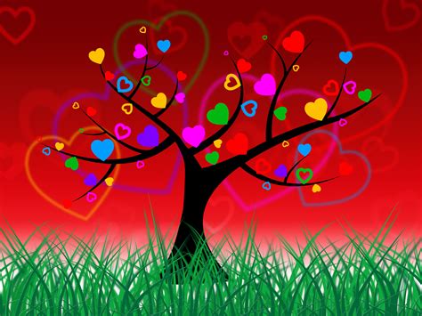 Free Photo Tree Branch Lying On Grass Branch Grass Green Free Download Jooinn