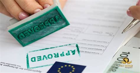 How To Check S Pass Status In Singapore