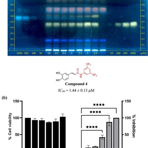Cytotoxicity Of Caffeic Acid 1 And Its Amide Derivatives Compounds Download Scientific