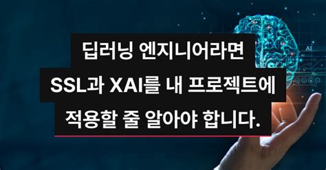 미디어 딥러닝 엔지니어라면 Ssl과 Xai를 내 프로젝트에 적용할 줄 알아야 합니다 패스트캠퍼스