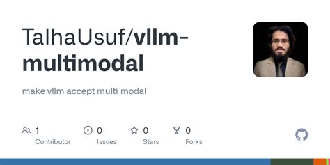 Github Talhausufvllm Multimodal Make Vllm Accept Multi Modal