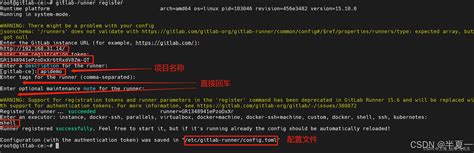 Gitops 2 Argocd和gitlab Runner安装配置argocd安装配置 Csdn博客