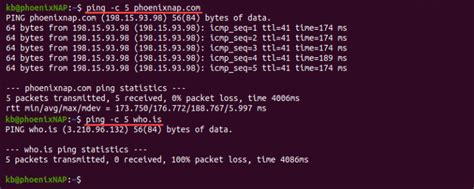 Troubleshooting DNS Issues Nslookup Dig Host More