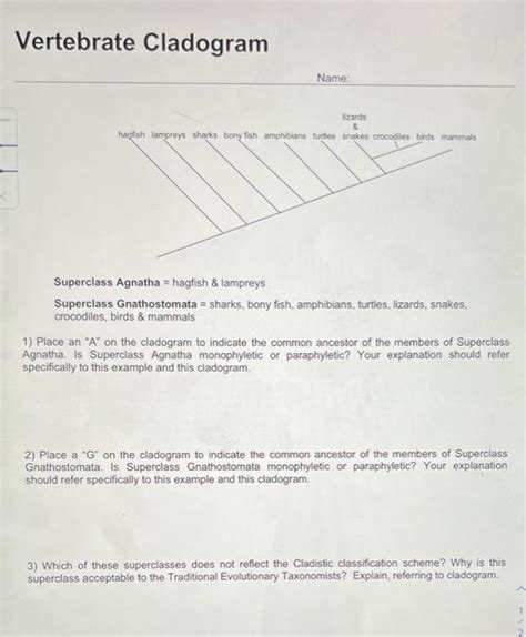 Solved Vertebrate Cladogram Name Superclass Agnatha