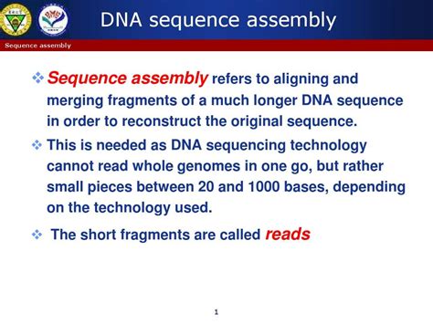 lecture6 sequence assembly word文档在线阅读与下载 无忧文档