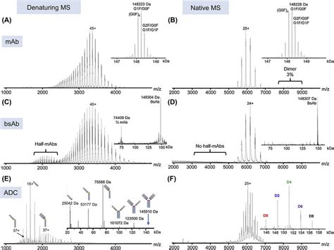 10 Comparison Of Denaturing And Native Lc Ms Of Antibody Based
