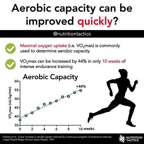 Aerobic Capacity Exercises