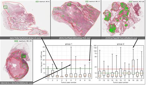 Statistical Overview Of The Count Of Mitotic Figures Per Area Of 10