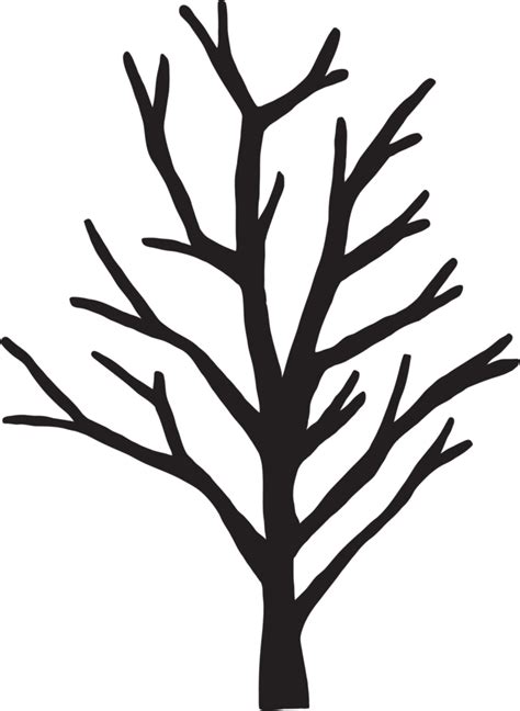 Tree Outline PNGs For Free Download