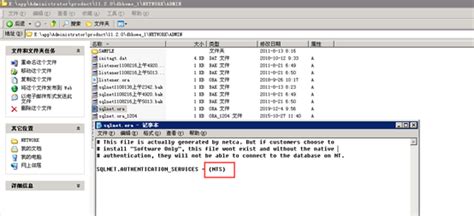 Windows使用sqlplus登录数据库提示权限不足 墨天轮