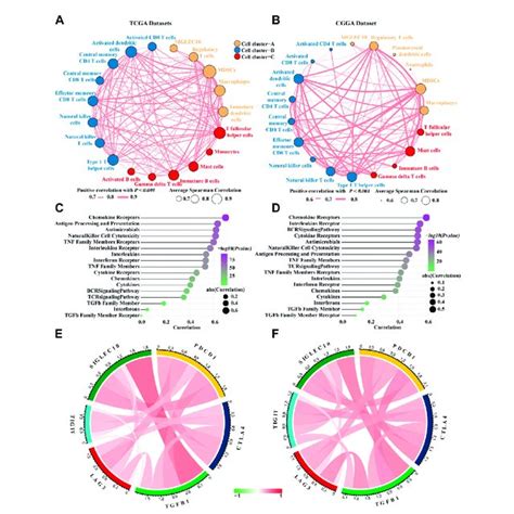 Related Inflammatory Pathways Of Siglec10 With Gsea Analysis A Download Scientific Diagram