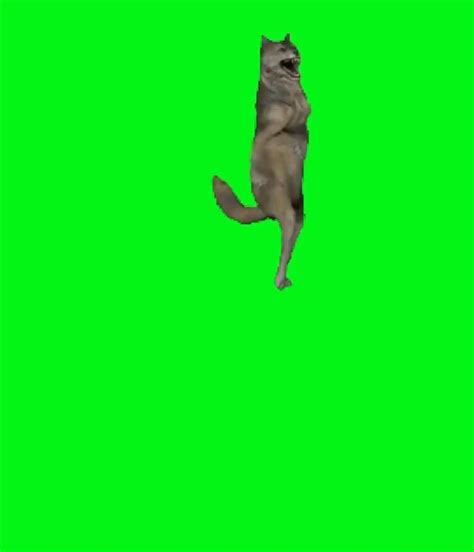 Танцующий волк танцует под песню ихвильнихт Смешные гифки Смешные мемы Микки маус вечеринки