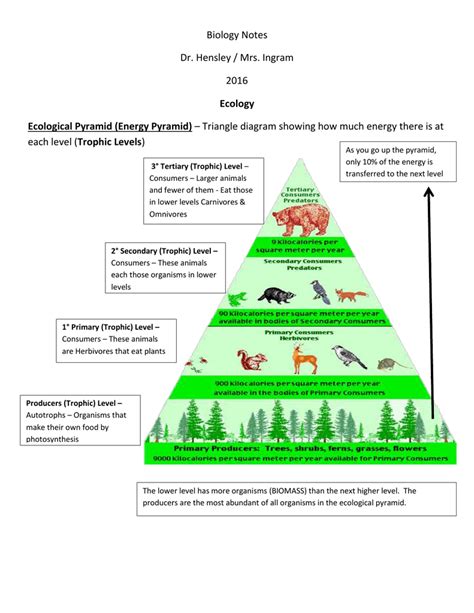 Trophic Level Biology