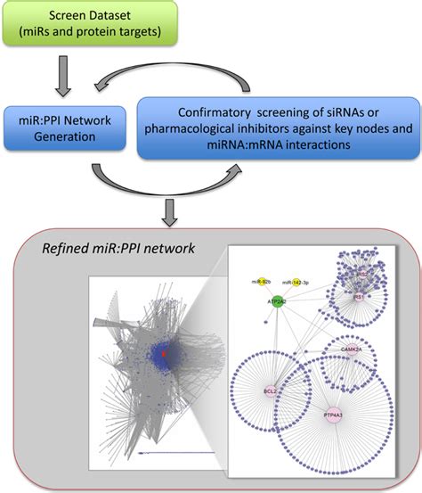 Pipeline For Iterative Process Of Network Construction And Confirmatory Download Scientific