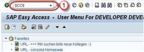 SAP Client Copy Local Remote Import Export