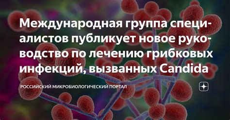 Международная группа специалистов публикует новое руководство по лечению грибковых инфекций