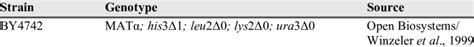 Information Of Used Yeast Strains Their Genotypes And Sources