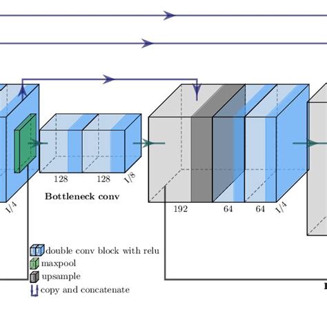 the architecture of the 3d u net in the left part of the network the