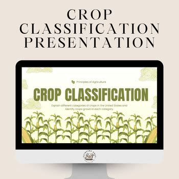 Crop Classification Google Slides Crop Science Lesson For Middle High Babe
