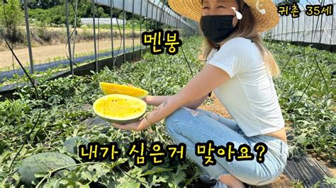 내가 뭘 심었는지도 모르는 쌩초보농사꾼 Youtube