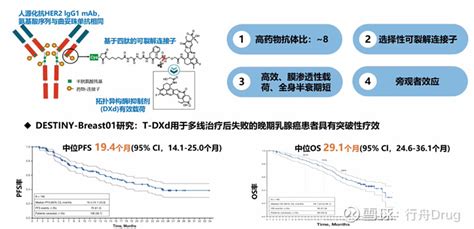 Adc药物的研发现状与开发挑战 点击上方的 行舟drug 添加关注 肿瘤资讯整理了浙江省肿瘤医院宋正波教授adc药物的研发现状与开发挑战，主要从ad 雪球