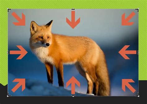 How To Crop A Picture In PowerPoint 4 Methods Vegaslide