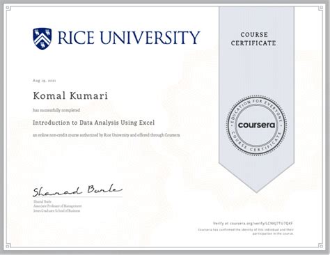 coursera introduction to data analysis using excel pdf