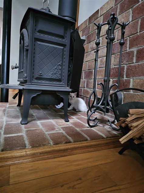 Jasper Drengler 🔥 Posted On Linkedin