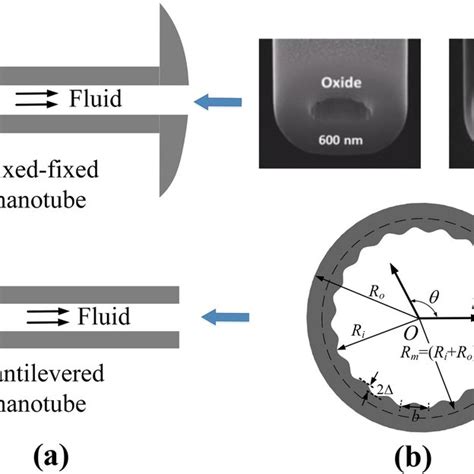 A Schematic For Fixedfixed And Cantilevered Nanotubes Conveying Fluid Download Scientific