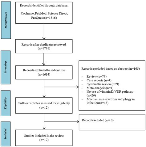 The Systematic Review Process Download Scientific Diagram
