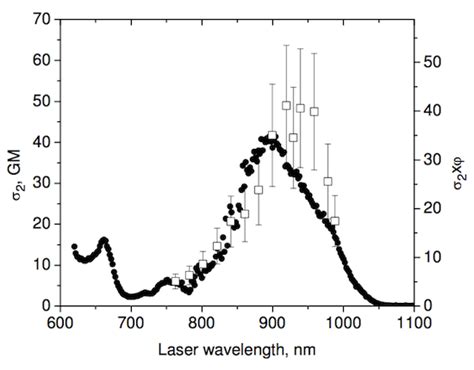 Two Photon Cross Sections Labrigger