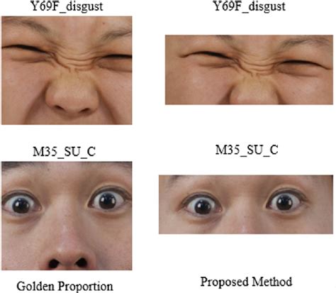 Figure 1 From A Robust Psychologically Oriented Emotion Recognition Method Using Transfer