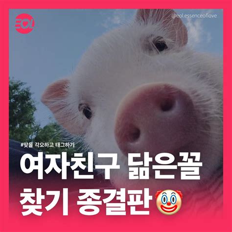 Eol 이오엘 여자친구 닮은 캐릭터 찾기 종결판🔥 사실 너 이거 닮았어 ㅋㅋㅋㅋ ️ 연애의정석 연정 Eol Essenceoflove 여자친구닮은꼴