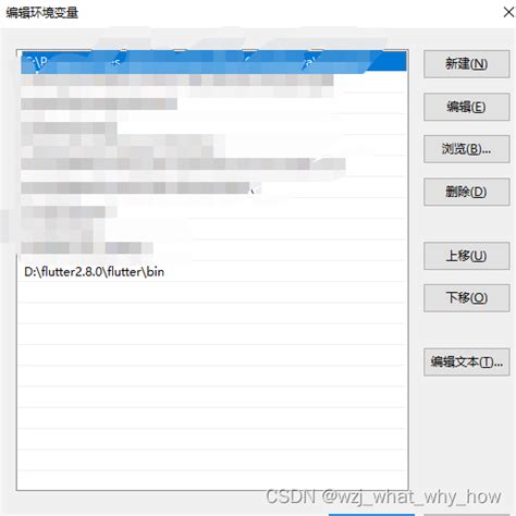 Flutter Flutter Dart Dart Sdk Csdn
