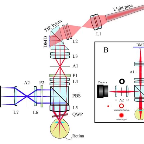 A Schematic Of The Optical Setup Showing Both The Illumination Path Download Scientific