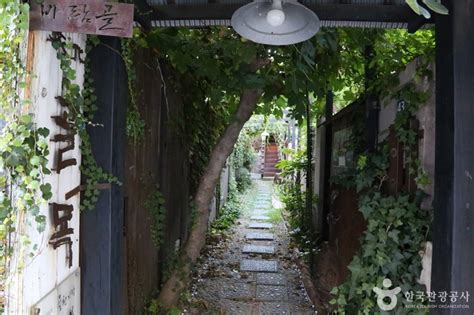 문화골목 부산광역시 남구 가볼만한곳 관광지랭킹